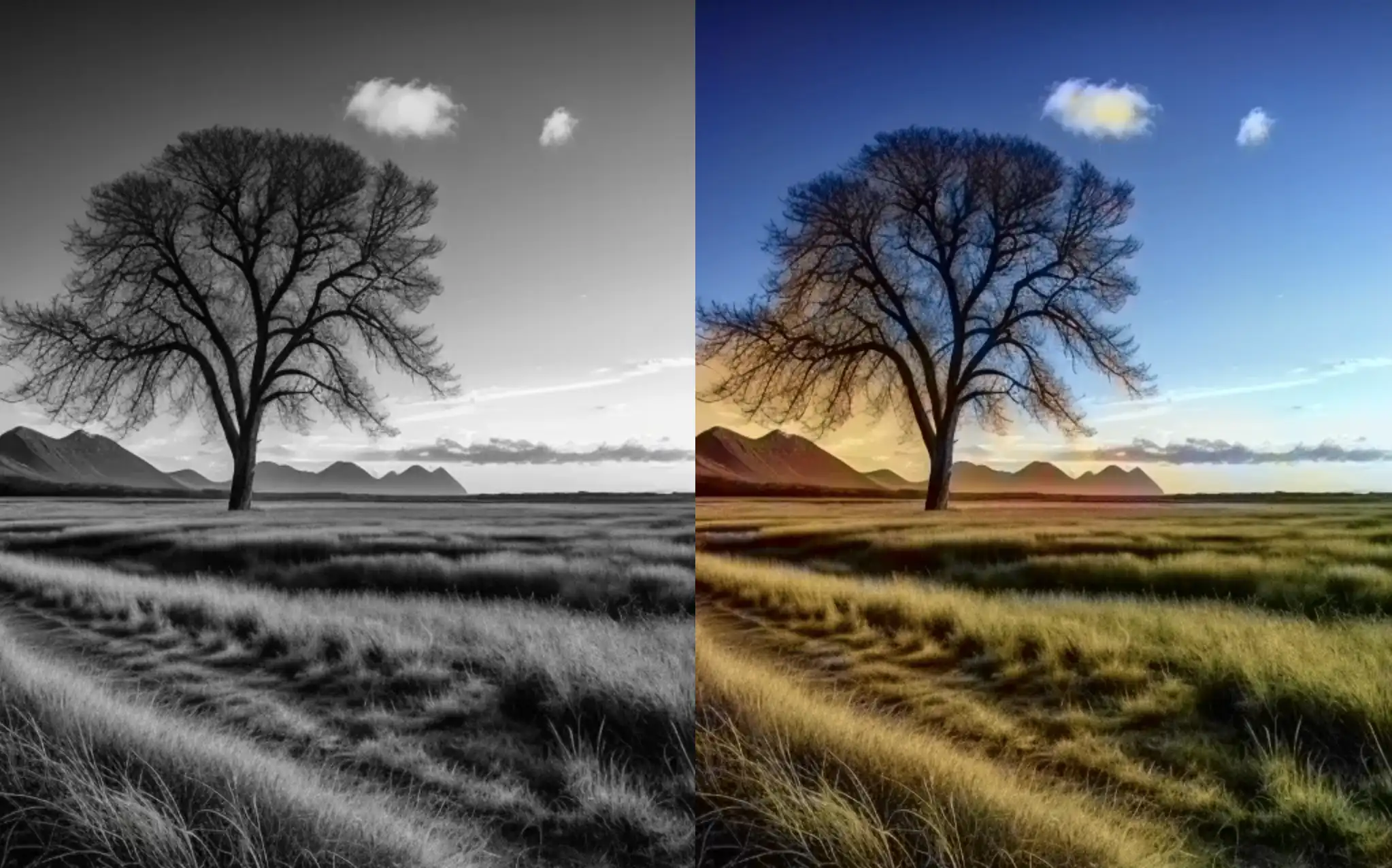 Colorize Black and White Photo