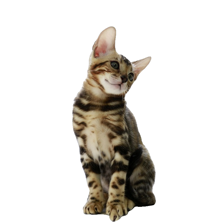 Trim Transparent Pixels